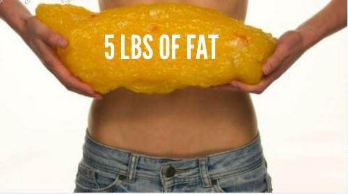 Fifty Fat Facts - Elaine McAllister
